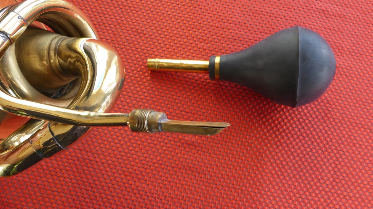 More Horn Photos! - SqueezeHorns.com